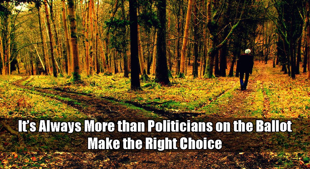 12-41 It's Not Just Politicians. It's the Real Issues on the Ballot